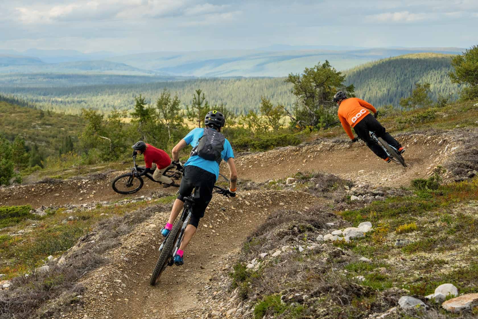 Lofsdalen Fjällpark MTB - Lofsdalsspår